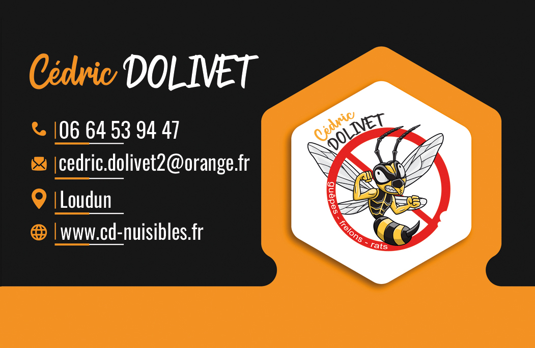 Destruction de nuisibles ; rats, souris, taupe, frelons, guêpes Cédric Dolivet